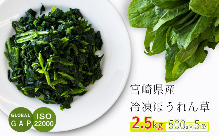 《当サイト限定品》国産『冷凍ほうれん草』2.5kg(500g×5袋) グローバルGAP取得のホウレン草 時短調理につながる冷凍カット野菜 TF0477-P00019 | 【たかふる】宮崎県高 ...